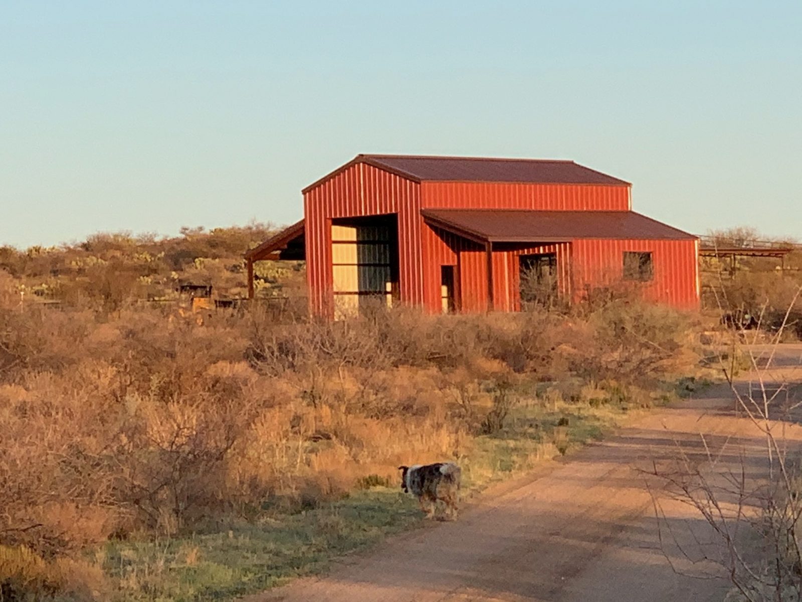 Custom : Elite Metal Buildings